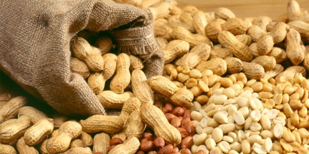 Las delicias del cacahuate | El Informador