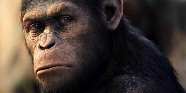 Llama la atención ''El planeta de los simios revolución'' | El Informador