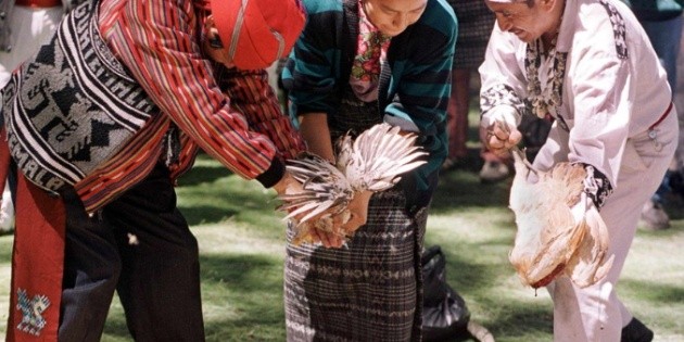 Llega libro de exploración de la cultura Chuj a México | El Informador