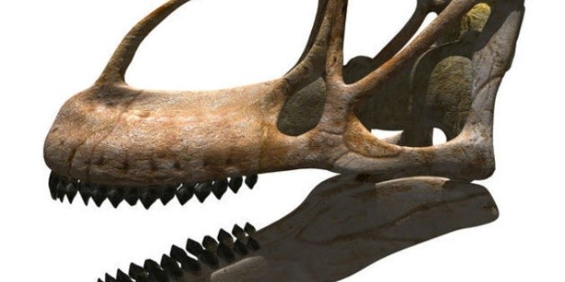 Turiasaurus riodevensis, el dinosaurio más grande de Europa | El Informador