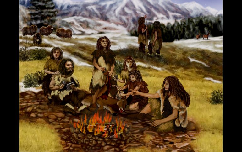 Los neandertales conocían las cualidades medicinales de las plantas ...