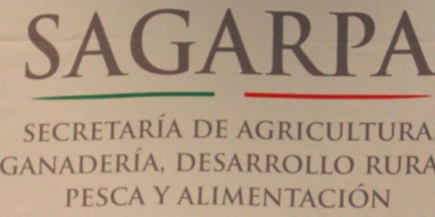 La Sagarpa concluye foros de consulta para la integración del PND | El ...