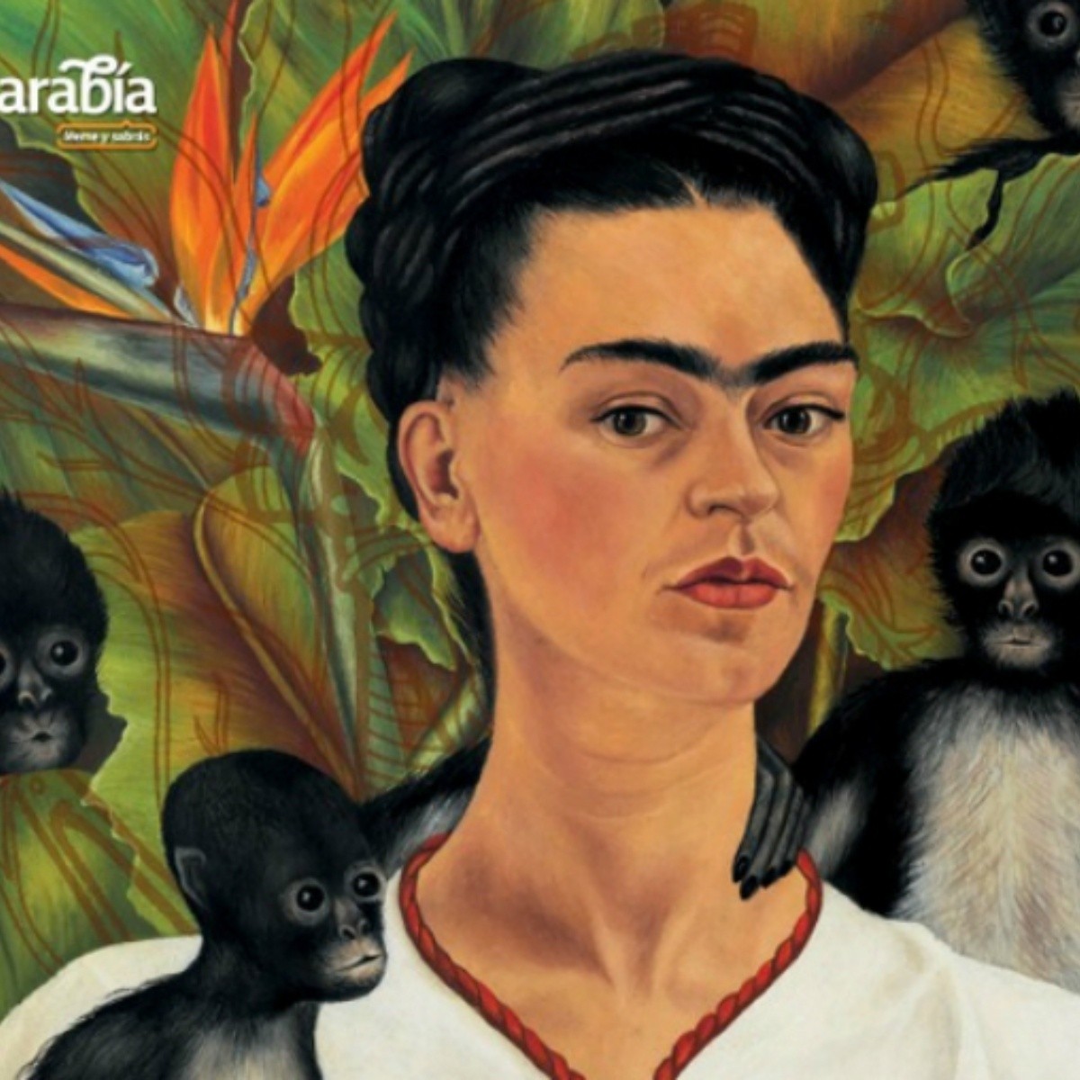 Biografia De Frida Kahlo