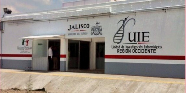 Nueva unidad de investigación analizará moscos que transmiten dengue ...