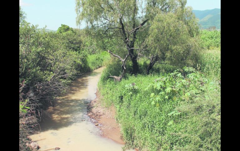 Arroyo el Chacuaco | El Informador