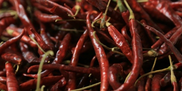 Juegos y alimentos olmecas siguen vigentes al paso de la historia | El ...