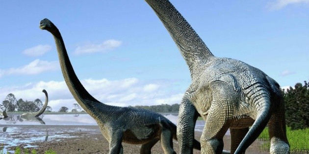 Descubren una nueva especie de dinosaurio de cuello largo en Australia ...