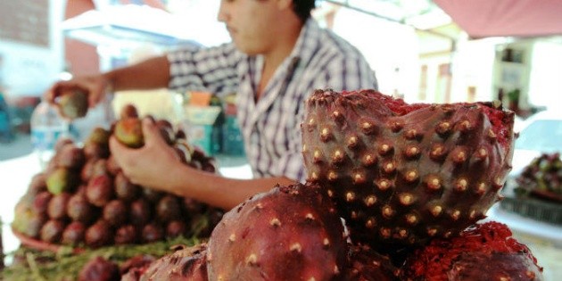 Pitaya de Techaluta tendrá marca registrada colectiva este año | El ...