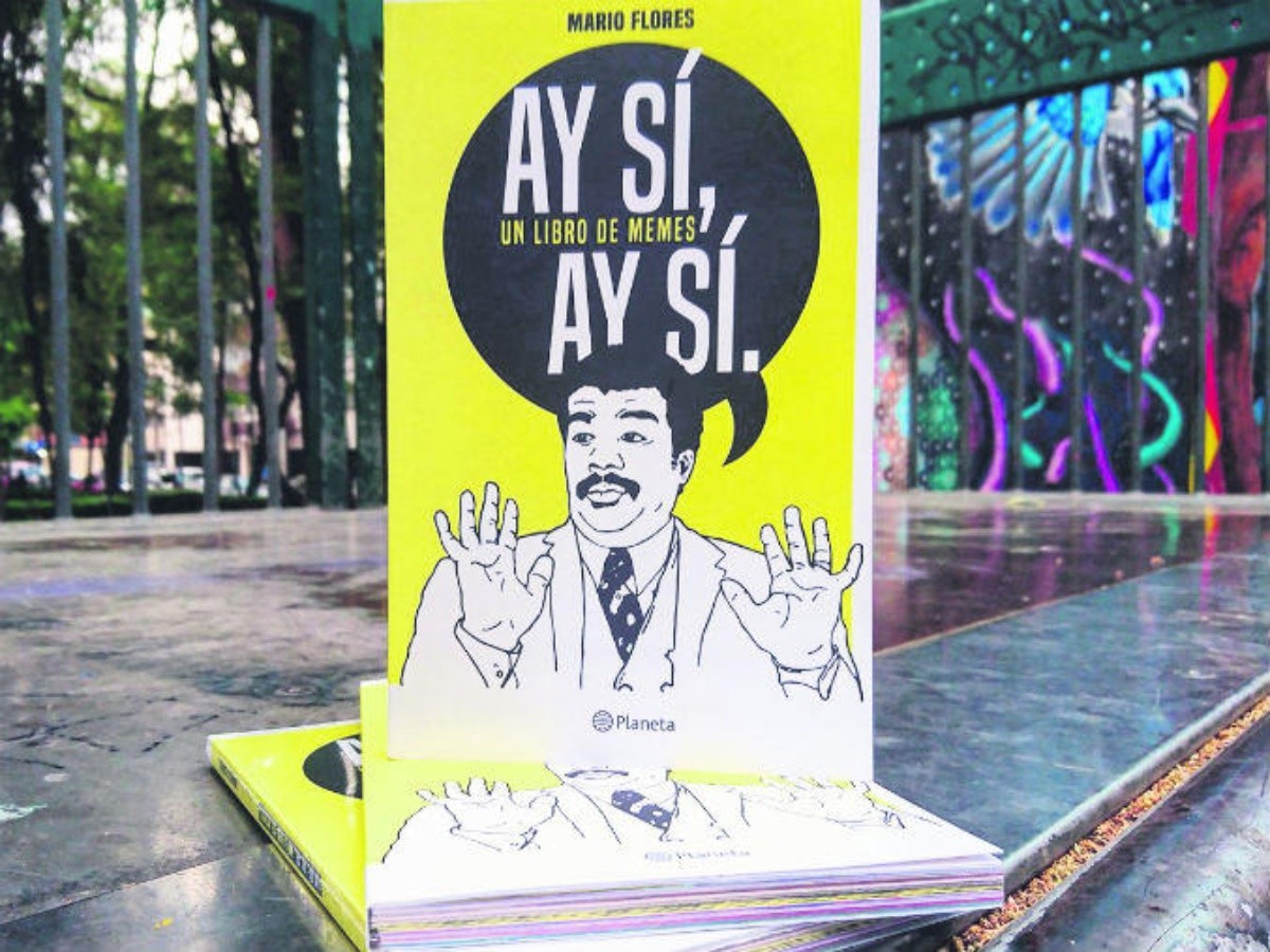 Libro De Memes Las Mejores 400 Ideas De Memes De Libros | Memes De
