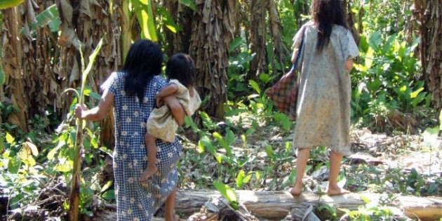 Las envidiables arterias de los chimanes de Bolivia | El Informador