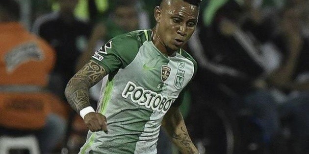 Tigres hace oficial la llegada de Arley Rodríguez | El Informador