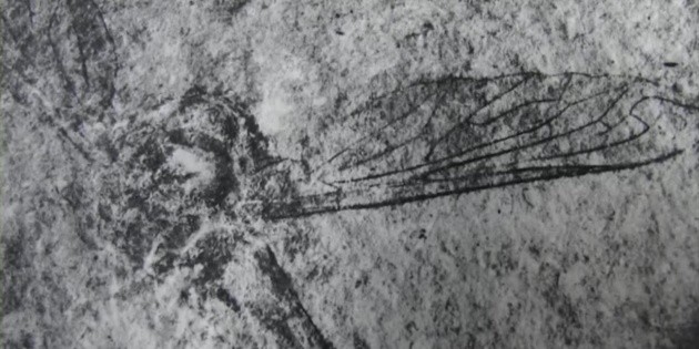 Hallan en Chiapas fósil de 90 millones de años | El Informador