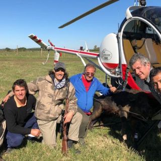 caza de jabali en helicoptero