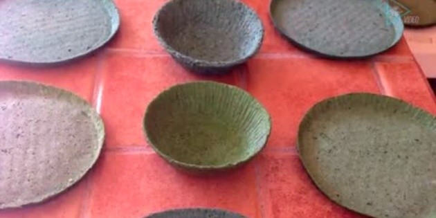 Estudiantes mexicanas crean plato hecho con nopal | El Informador