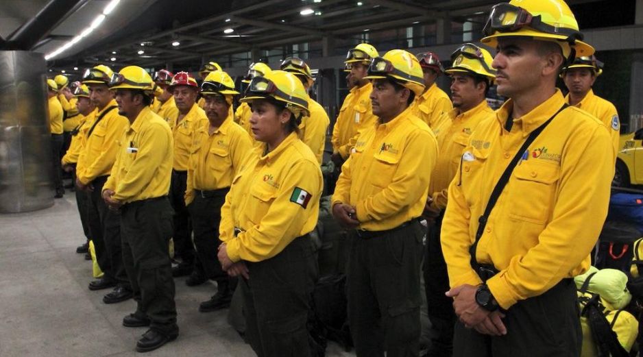 Noticias sobre Conafor | El Informador :: Noticias de Jalisco, México ...