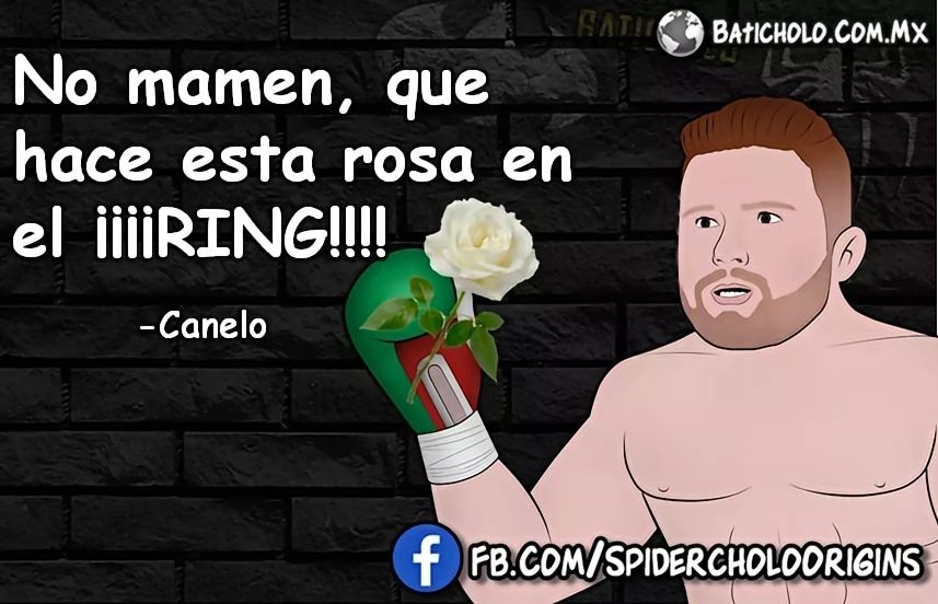 Los memes del triunfo de "Canelo" vs GGG | El Informador
