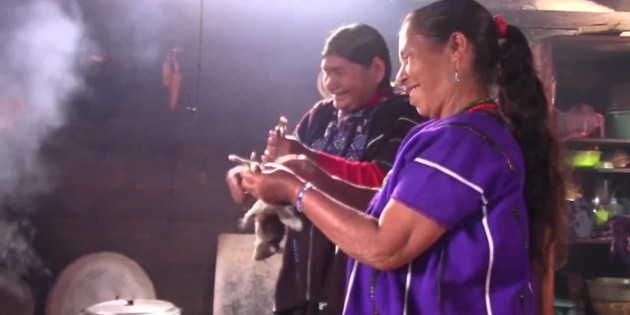 Rata de monte, manjar chiapaneco | El Informador