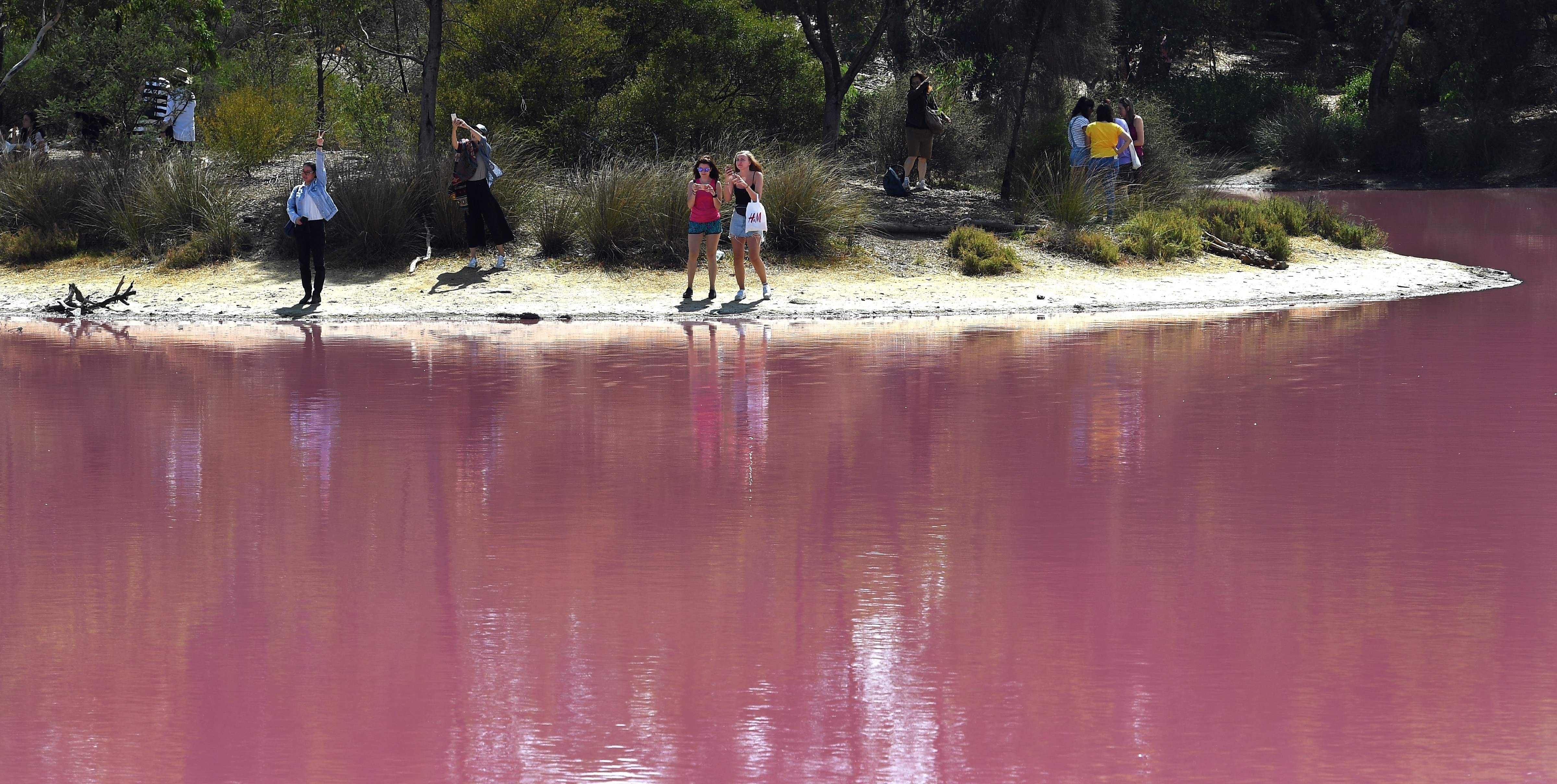 Fotogalería: Un lago rosa en Australia, imán de visitantes | El Informador