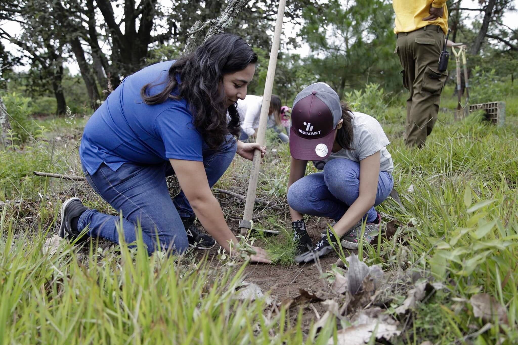Con 14 mil 500 árboles concluye Programa de Reforestación en Bosque La ...