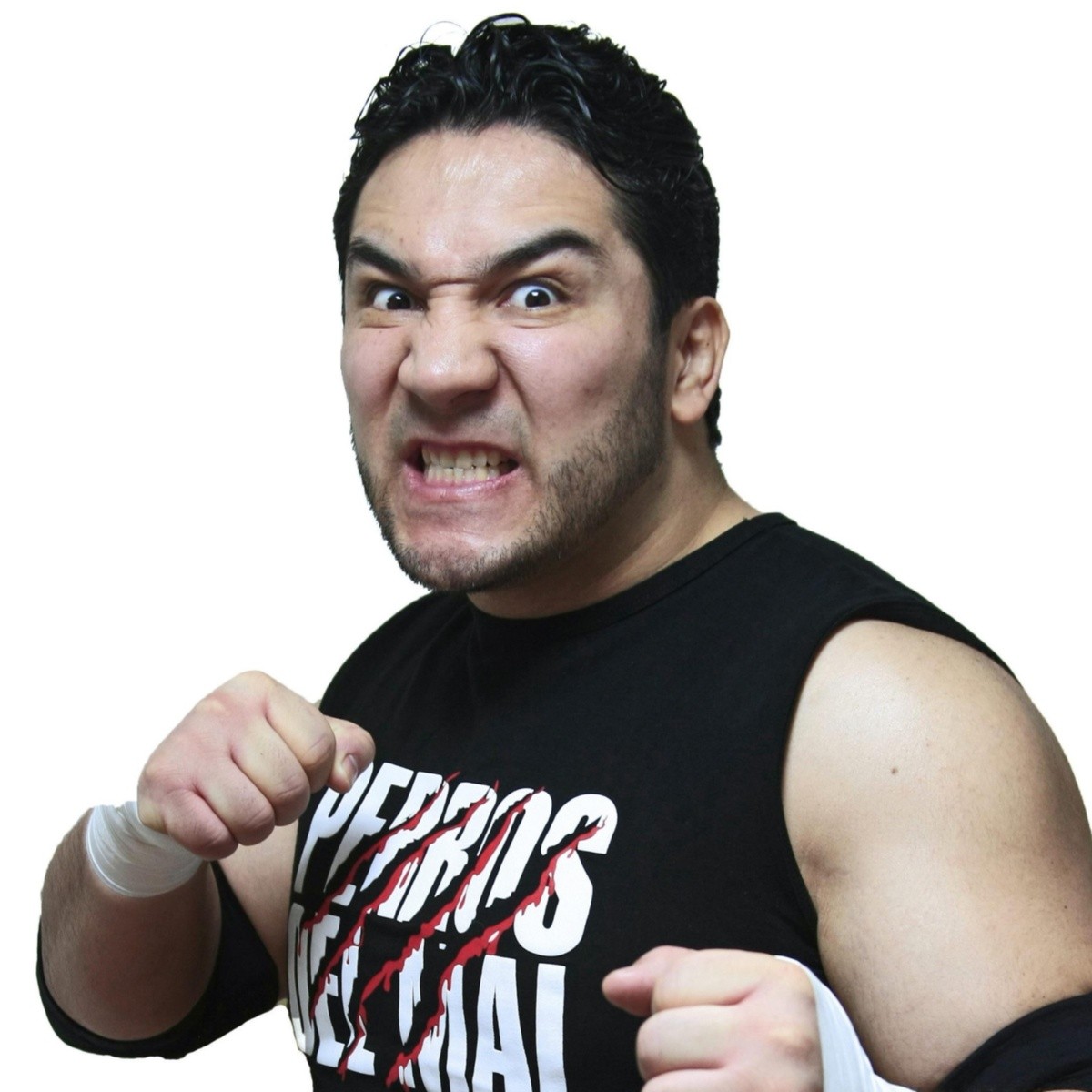 Memes Del Hijo Perro Aguayo La Muerte Del Hijo Del Perro Aguayo Grupo