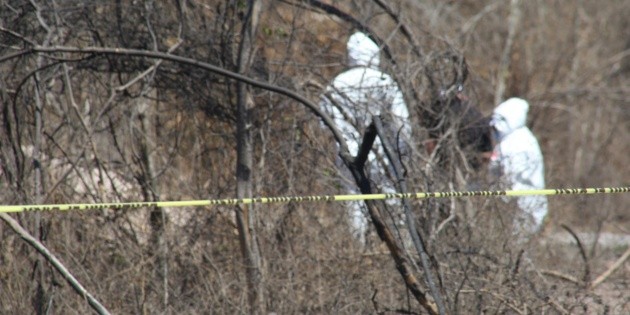 Hallan dos cuerpos más en fosa clandestina de Nayarit; suman cuatro | El Informador
