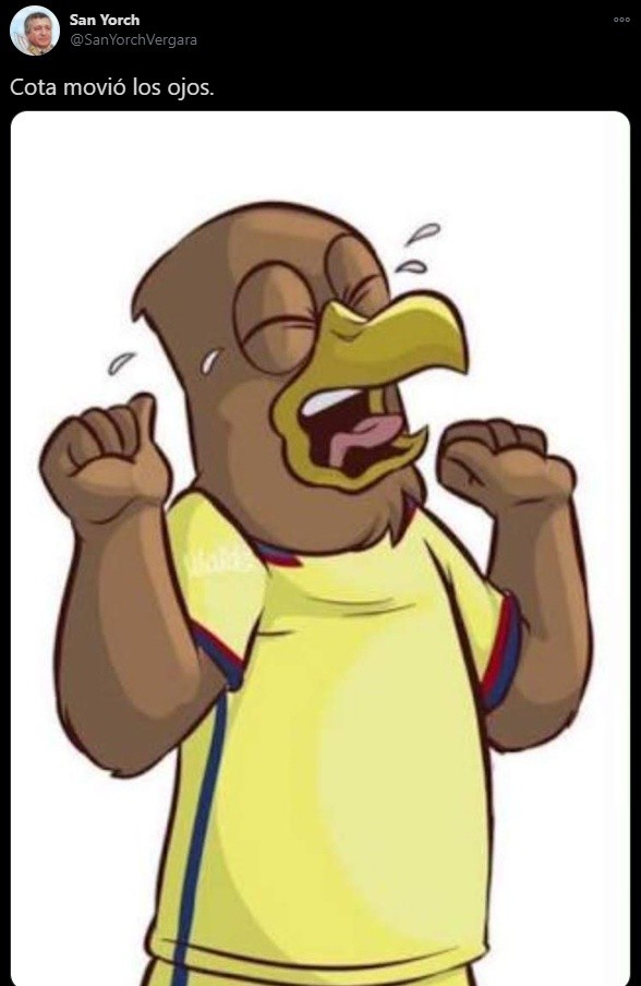 Cota vs Macías: Los memes y teorías ''conspiranoicas'' que dejó el ...