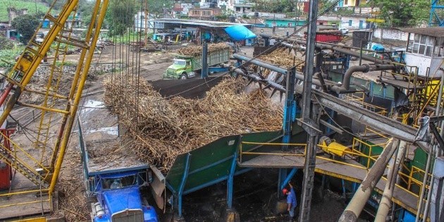 México eleva su producción azucarera en la cosecha 2020-2021 | El ...