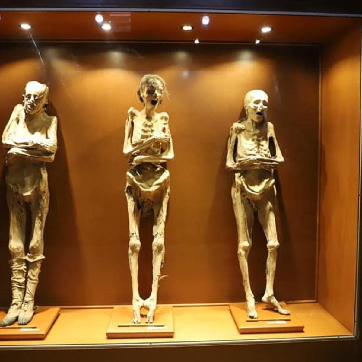 Momias De Guanajuato Logo