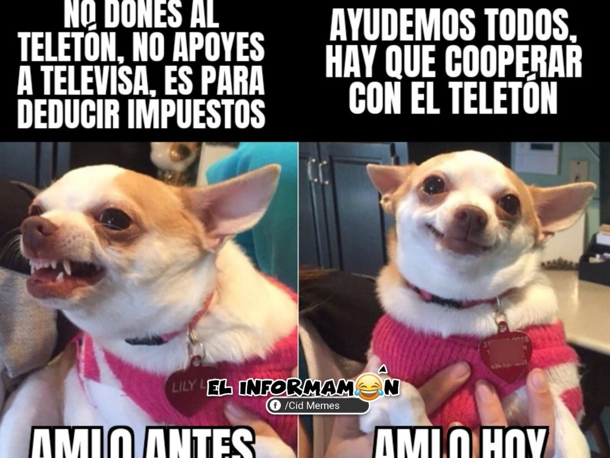 Memes Del Teleton De Mexico Los Memes De Las Elecciones 2024 En