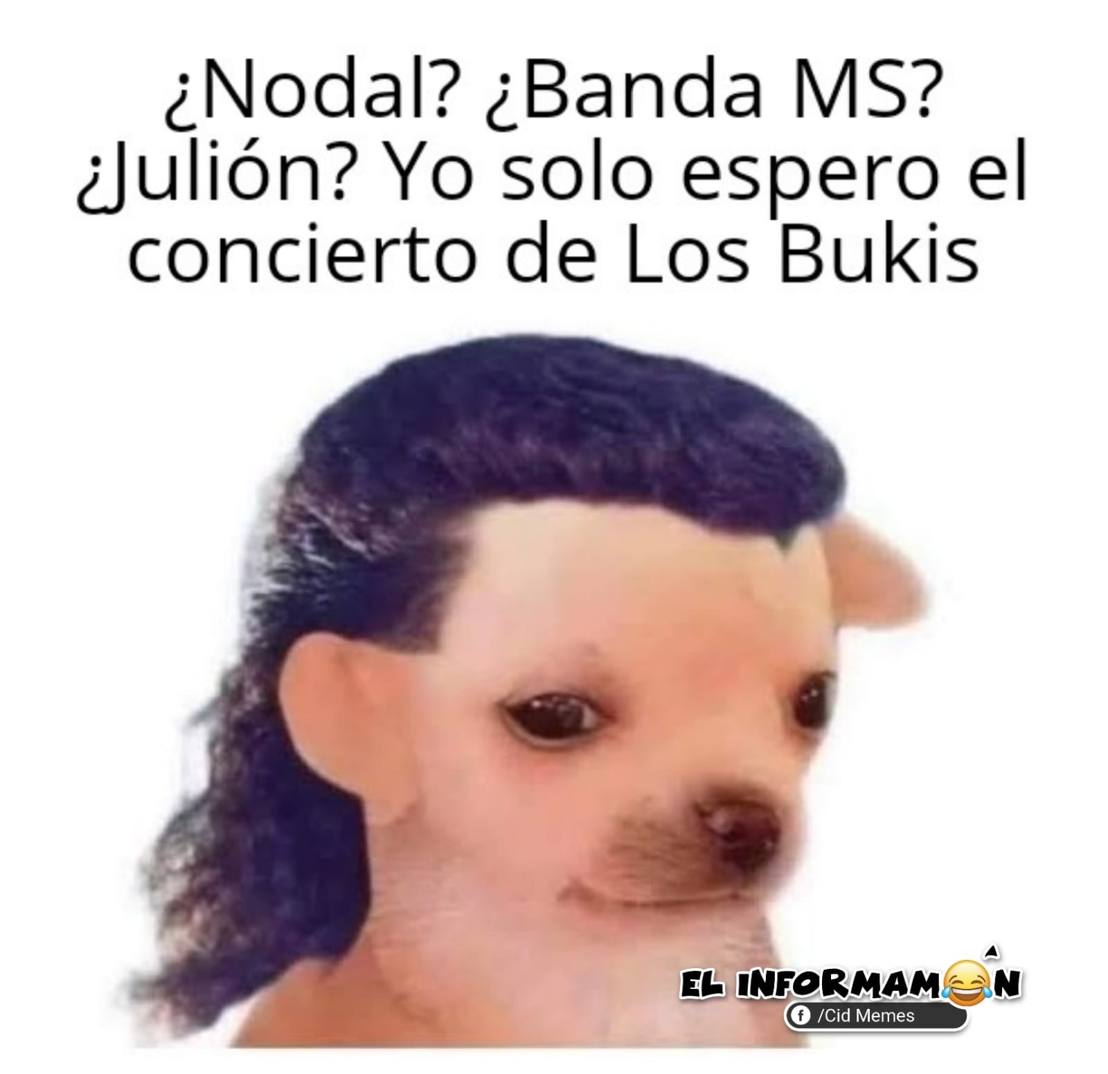 Los Bukis | El Informador