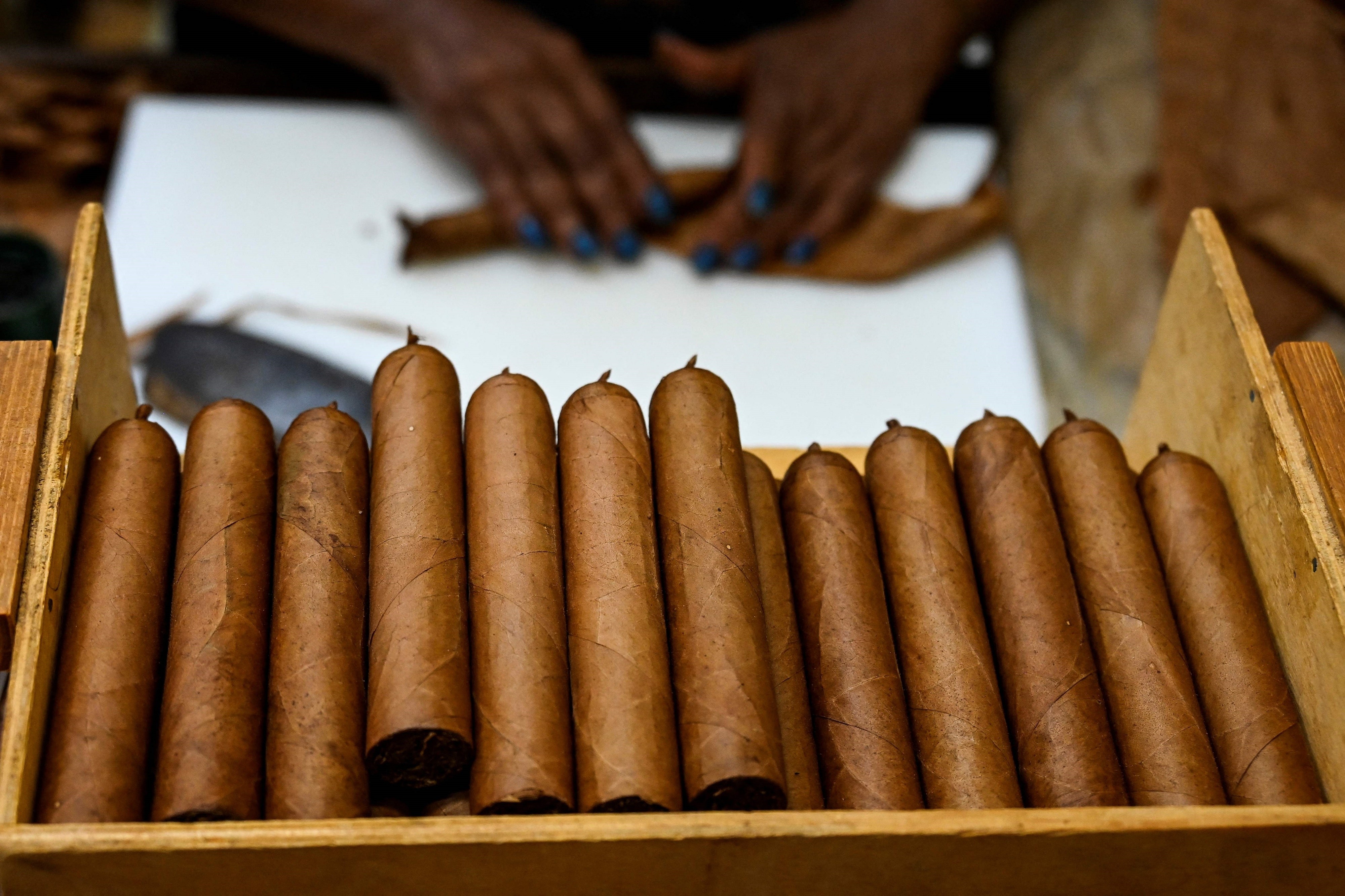 Fotogalería: Fábrica de habanos para Fidel Castro conserva su tradición ...