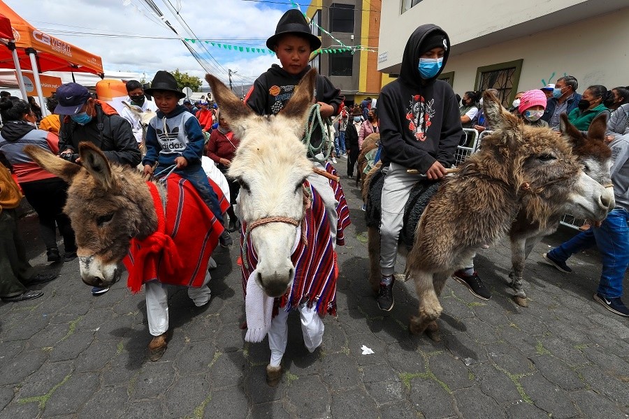 Fotogalería: Ecuador acoge la carrera de burros más grande del mundo ...