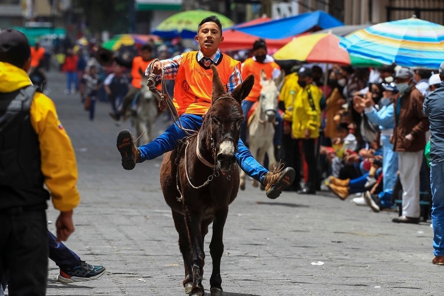 Fotogalería: Ecuador acoge la carrera de burros más grande del mundo ...