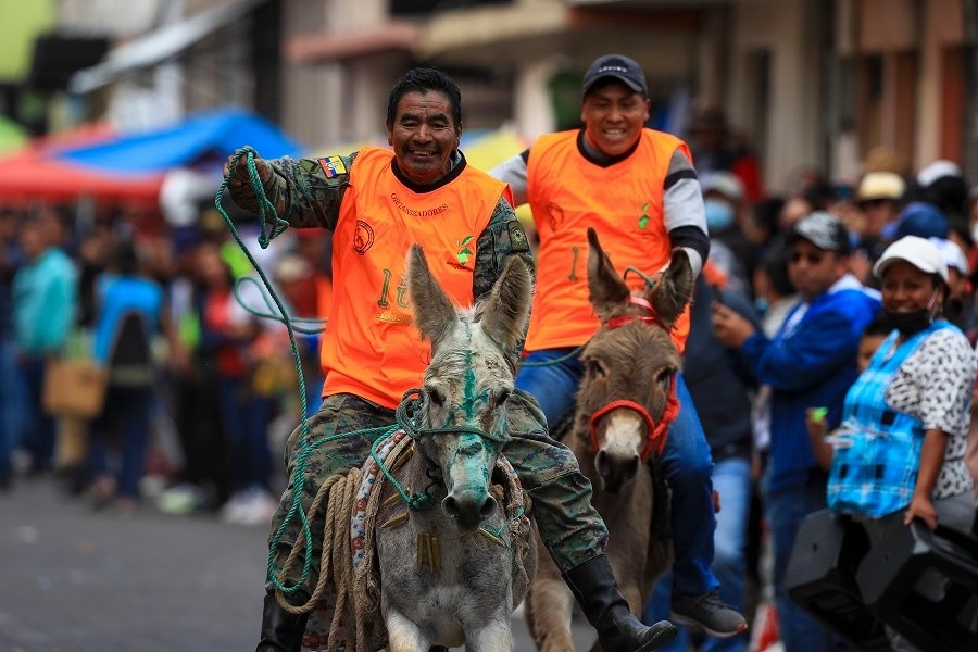 Fotogalería: Ecuador acoge la carrera de burros más grande del mundo ...