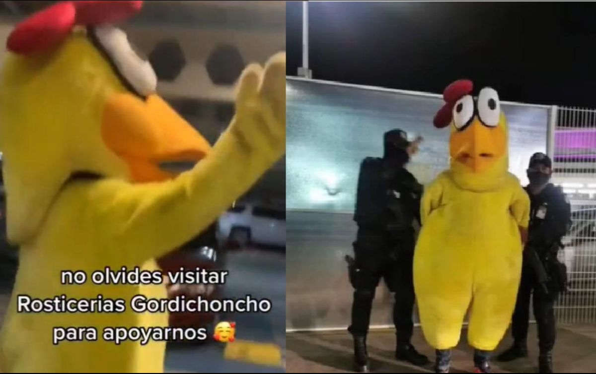 Viral en TikTok: Arrestan a botarga de pollo en aeropuerto de ...