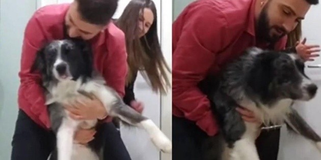 Viral: Se encierran con su perrito y le ponen música para que cuetes no ...