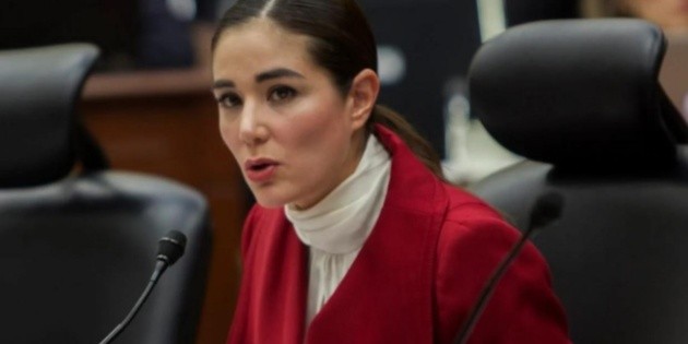 INE: Consejera Dania Ravel impugna Plan B de Reforma Electoral | El ...