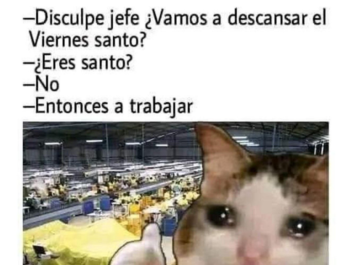 Memes Divertidos Sobre Las Vacaciones Los Mejores Memes Para Enviar En