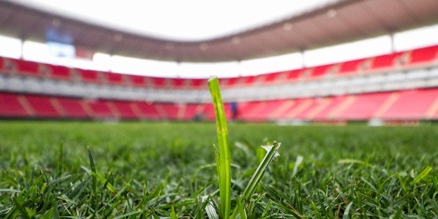 Chivas vs Atlas: Revelan estado del pasto en el Estadio Akron tras ...