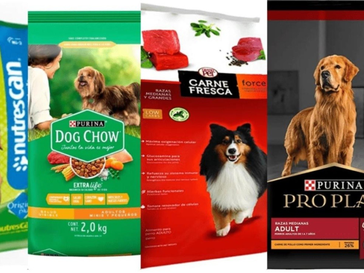 Croquetas Para Perro