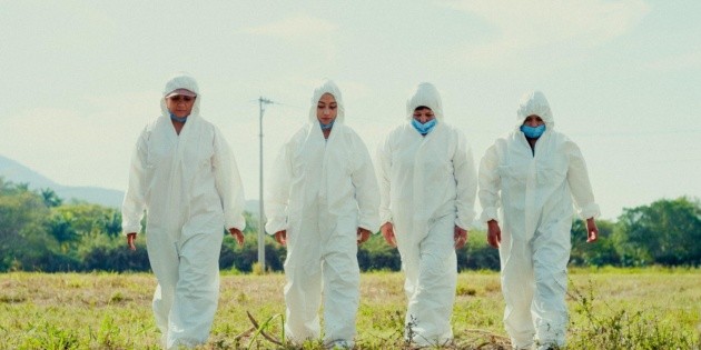 Volverte a ver: La recomendación de hoy en la cartelera de cine es ...