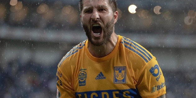 Tigres: André-Pierre Gignac, ¿en la mira de equipos de Brasil y Qatar ...
