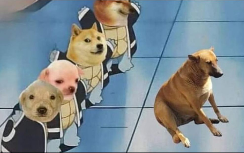 Ciudad de México: Descubren el 'Cheems' mexicano y se desata ola de ...