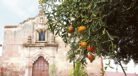 Cocula. Últimas noticias de Cocula | El Informador