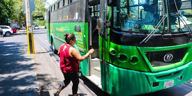 Ministry of Transport: Public transport users prefer the Peribús than ...