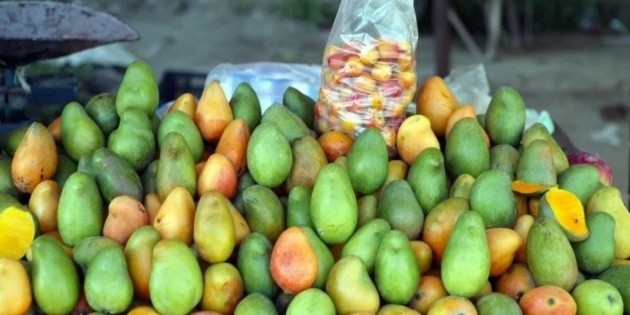 Sinaloa: A machetazos, familia pelea por un árbol de mangos en Ahome ...