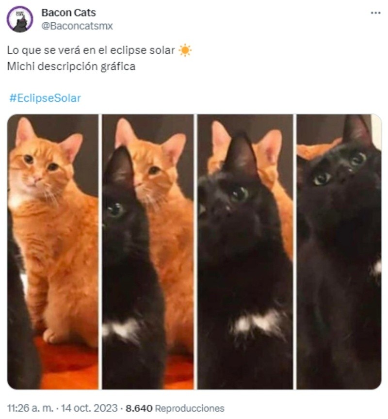 Eclipse solar 2023: Con memes, usuarios eclipsan las redes sociales ...