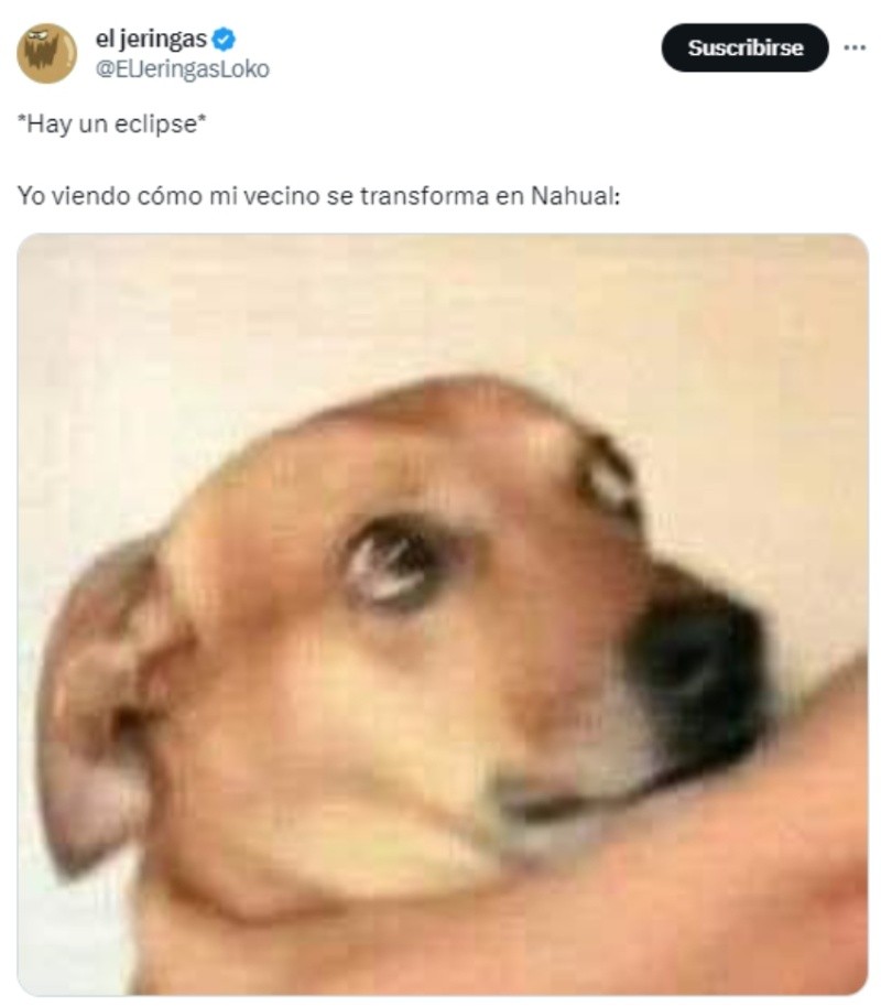 Eclipse solar 2023: Con memes, usuarios eclipsan las redes sociales ...