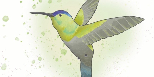 FIL 2023: Las aves son especiales | El Informador