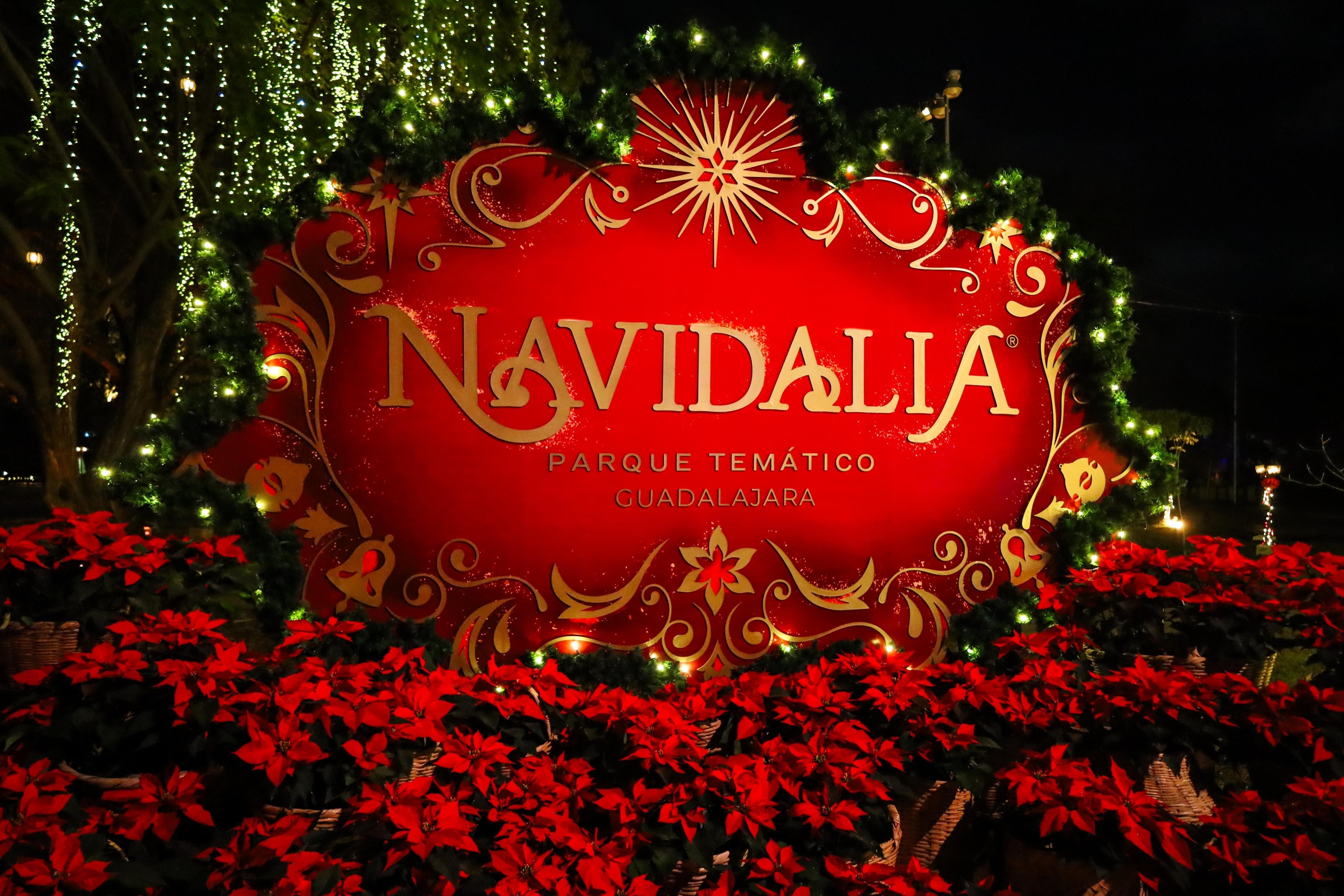 Navidalia 2023: Regresa la magia al Parque Ávila Camacho en Guadalajara ...